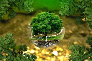 Sustainability | TSP