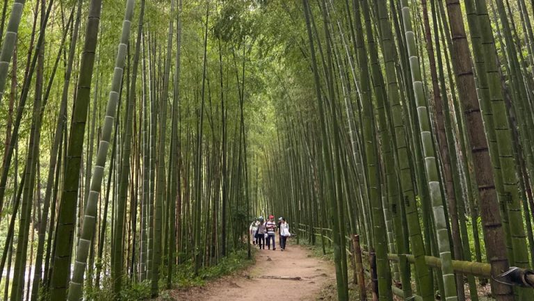 TSP 25th Anniversary | Team Building Trip to Zhejiang Eastern Little ...